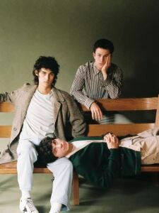 Wallows Merchandise - Official